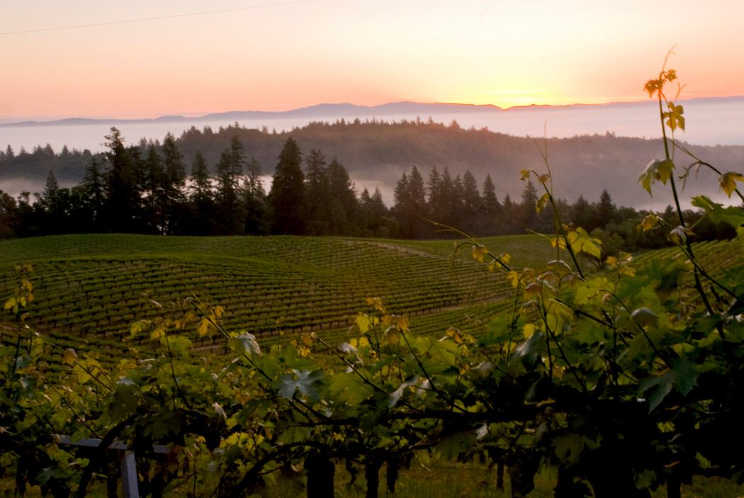 Best Kept Secret Wineries in Napa Valley | NapaWineTours.com